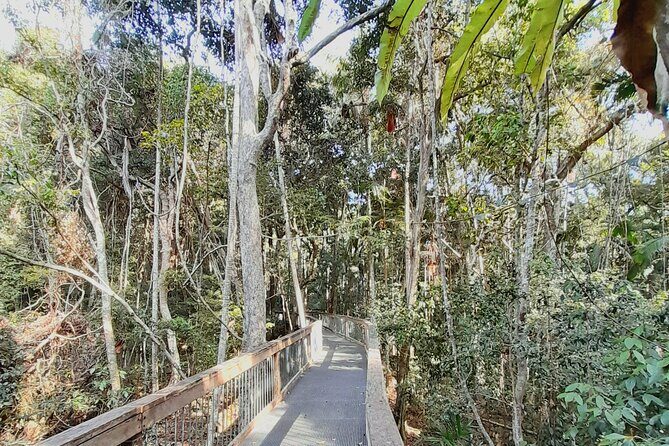 4-Day Private Coastal Escape from Sydney to Mid North Coast - Key Points