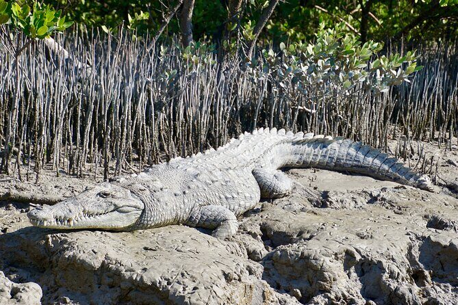 4-Day Private Miami Tour with Transportation - Who Should Consider This Tour?