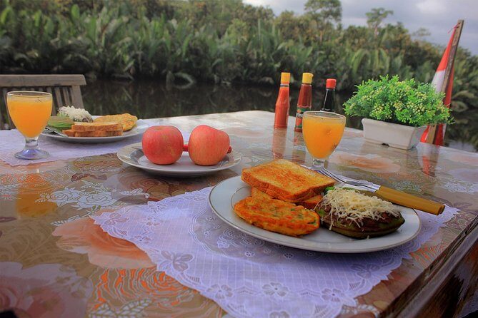 4-Day Private Orangutan and Bornean Primates Tour from Pangkalanbuun - Who Will Love This Tour?