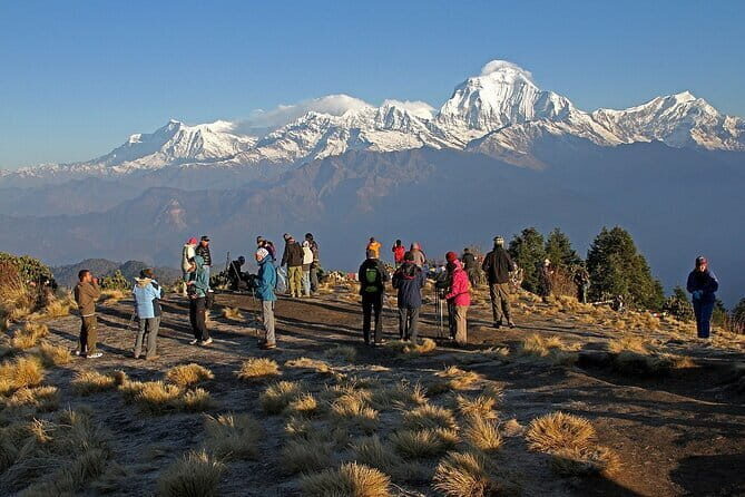 4 Day Private Poon Hill Trek and Tandem Paragliding in Pokhara - Key Points