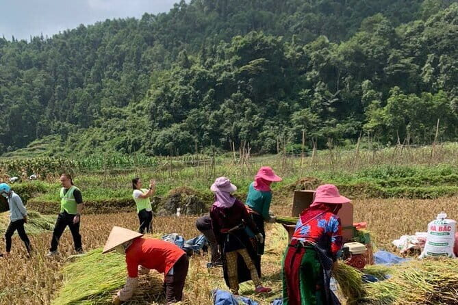 4-Day Private Tour Ha Giang Cao Bang and Ban Gioc - Who Will Love This Tour?