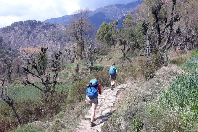 4-Day Private Yoga Trekking in The Indian Himalayas in Daramshala - A Deep Dive into the Experience