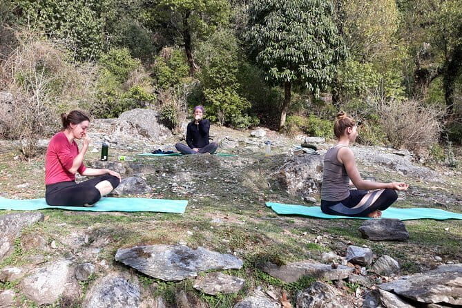 4-Day Private Yoga Trekking in The Indian Himalayas in Daramshala - Authentic, Heartfelt Encounters