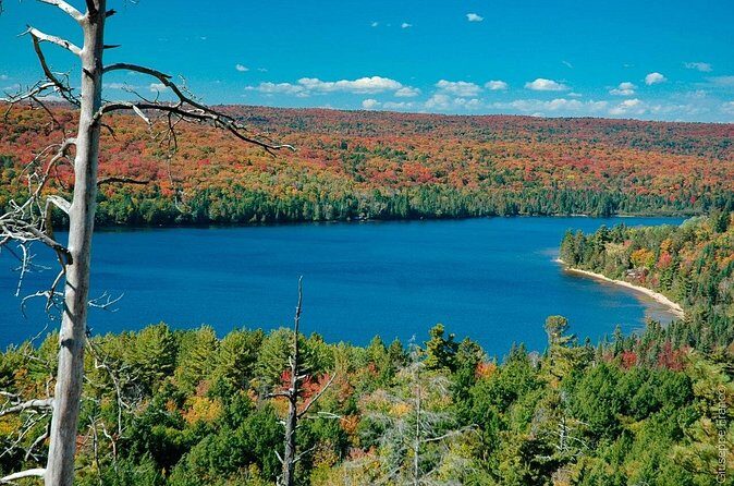 4 Day Small Group Tour Toronto Niagara Falls and Ontario Lakes - Who Would Love This Tour?