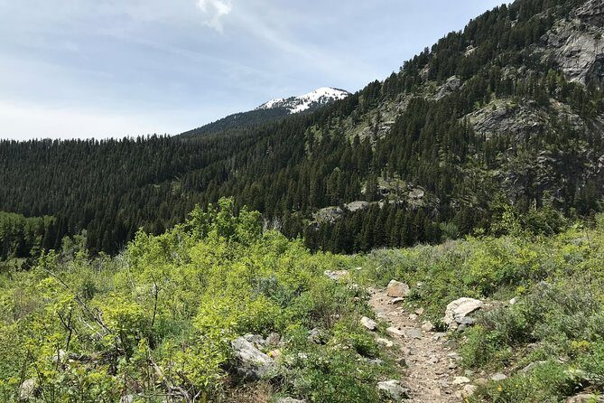 4-Day Small Group Tour: Yellowstone and Tetons Camping from Salt Lake City - Final Thoughts: Who Will Love This Tour?
