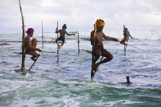 4-Day Sri Lanka Coast Tour - Who Will Love This Tour?