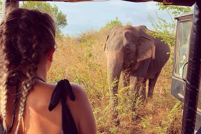 4 Day Tour to Kandy Nuwara Eliya Ella & Udawalawe Safari From Negombo - Final Words