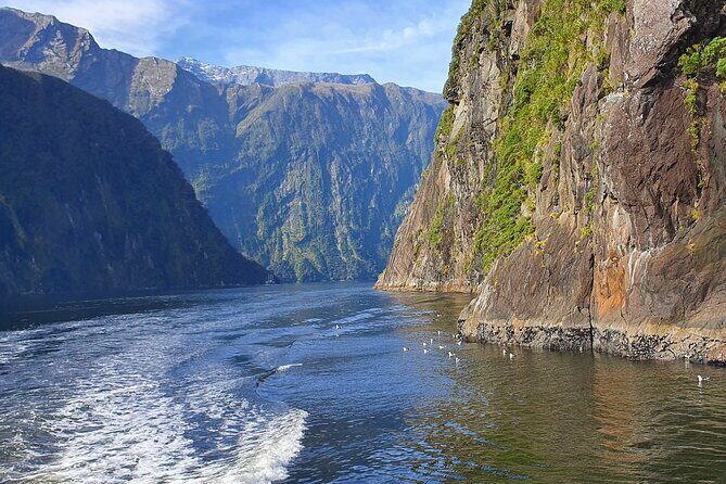 4 Day Tour to Milford Sound, Mount Cook & More from Christchurch - FAQs