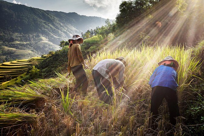 4-day Trekking in Ha Giang - Tay Con Linh - FAQ