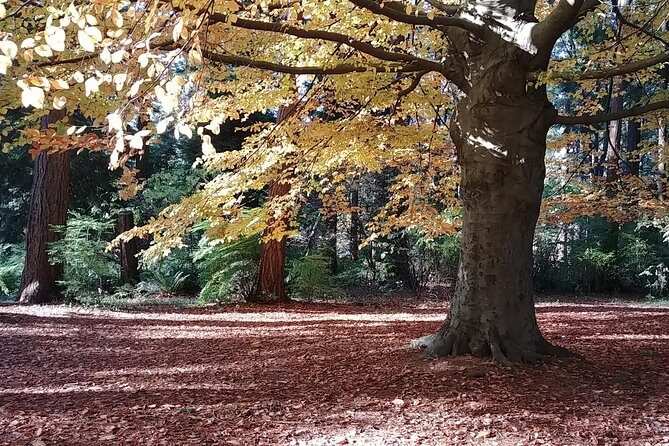 4 Day Vancouver, Victoria & Whistler Private Tour - Who This Tour Is Best For