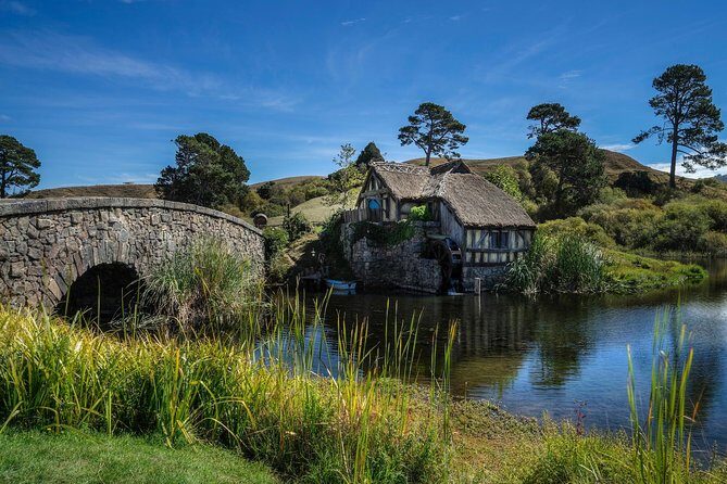 4-Day Wellington to Auckland via Rotorua Tour - The Experience in Context: What Makes This Tour Stand Out?