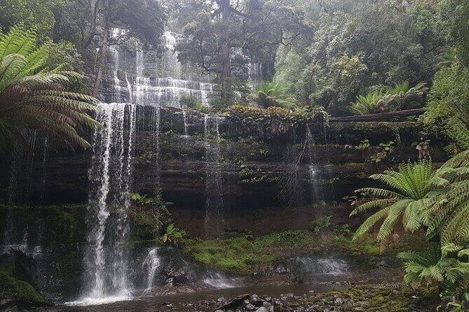 4 Day Wild Tasmania Tour / Wildlife, Nature, Hiking / Inc. Accom - FAQs