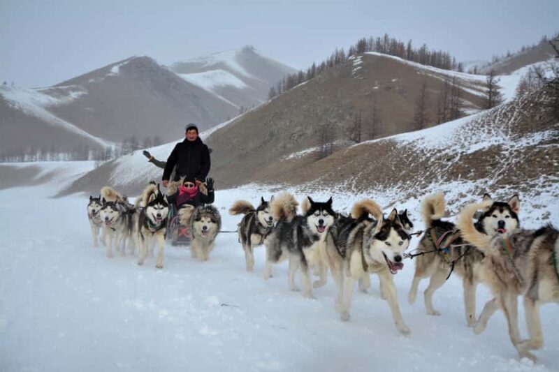 4-Day Winter Adventure Tour/Central Mongolia - Authentic Experiences and Traveler Perspectives