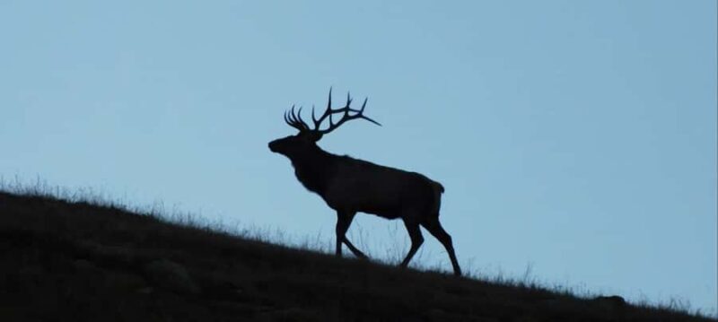 4-Day Winter Adventure Tour/Central Mongolia - Who Should Consider This Tour?