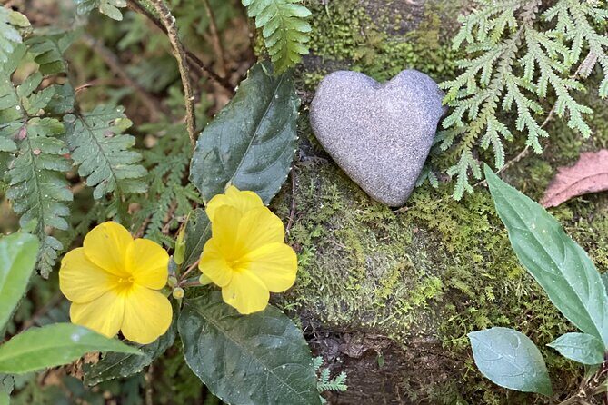 4 Day Yoga Hiking and Sound Healing Retreat in Nepal - Key Points