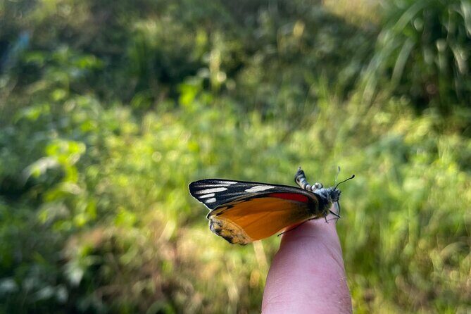 4 Day Yoga Hiking and Sound Healing Retreat in Nepal - Final Thoughts