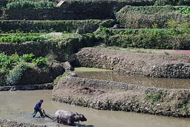 4-day Yuanyang & Stone Forest Photograph Tour - FAQs