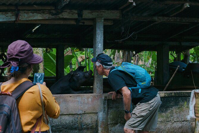 4 Days 3 Nights Explore Bali with Package Tours - Real Traveler Perspectives