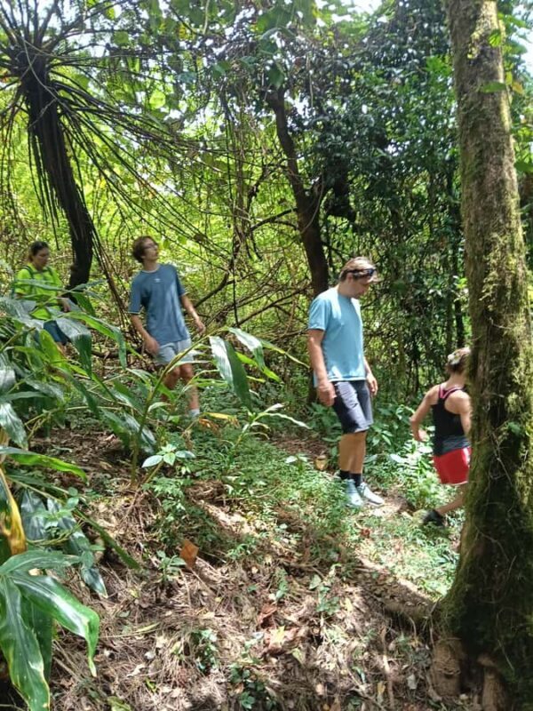 4 Days / 3 Nights Jungle & Waterfall Trek in North Bali - Key Points