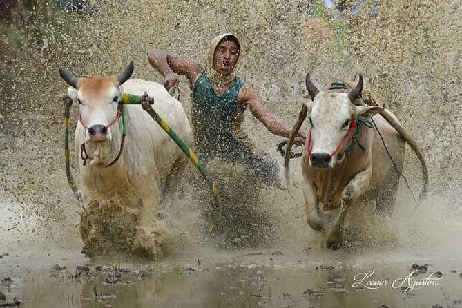 4 Days 3 Nights Private Tour in West Sumatra - The Sum Up