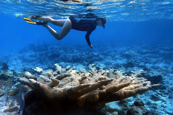 4 Days, 3 Nights Sailing Catamaran Experience in the Exumas, Bahamas - The Essence of the Experience: A Sailing Bahama Adventure