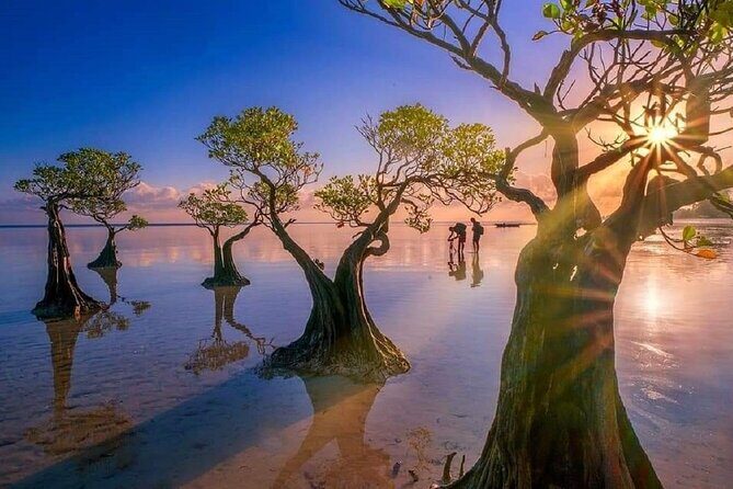 4 Days 3 Nights tour to Explore Best of West Sumba and East Sumba - Exploring Sumba: What Makes This Tour Stand Out?