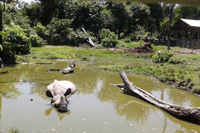 4 Days Bardia National Park Tour - Discovering the Hidden Gem: Bardia National Park
