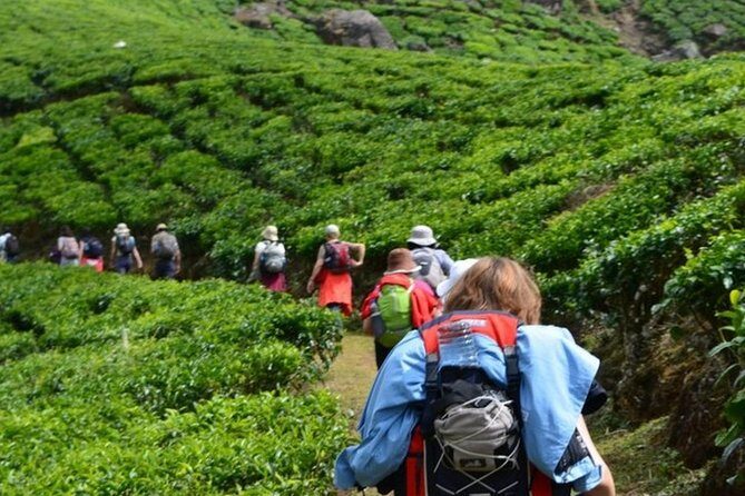 4 Days Best of Kerala Tour with Private Houseboat, Sightseeing & Car - Who Is This Tour Best Suited For?