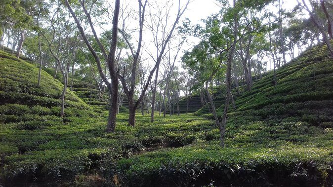 4 days Dhaka to Sylhet & Srimangal - Key Points
