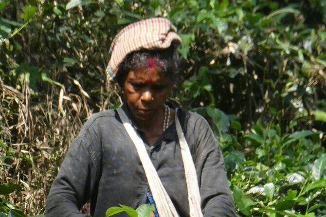 4 days Dhaka to Sylhet & Srimangal - Whats Included and Whats Not