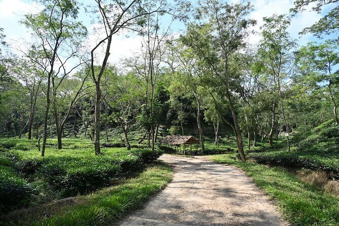 4 days Dhaka to Sylhet & Srimangal - Practical Aspects: Transportation, Timing, and Group Size