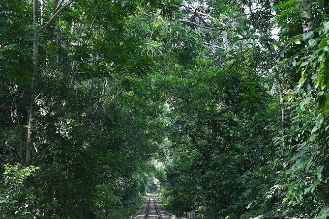 4 days Dhaka to Sylhet & Srimangal - Final Thoughts: Who Should Sign Up?