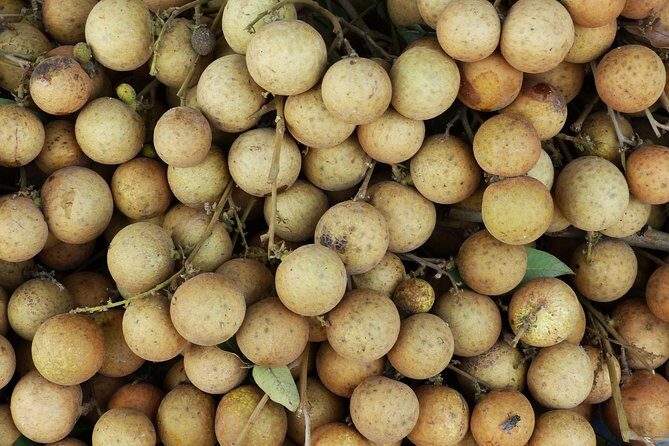 4 Days Essence Of Southern Vietnam - Final Thoughts