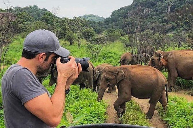 4 Days Essence Of Sri Lanka - Day 4: Departure and Reflection