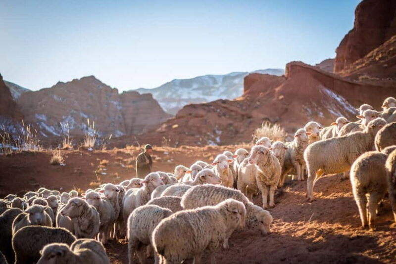 4 Days : Experience Nomadic Lifestyle of Kyrgyz Republic - Key Points