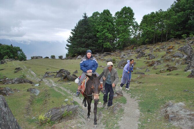 4 Days Haba Snow Mountain Climbing Tour (Lijiang-Shangri-La) - Day 4: Return and Reflection