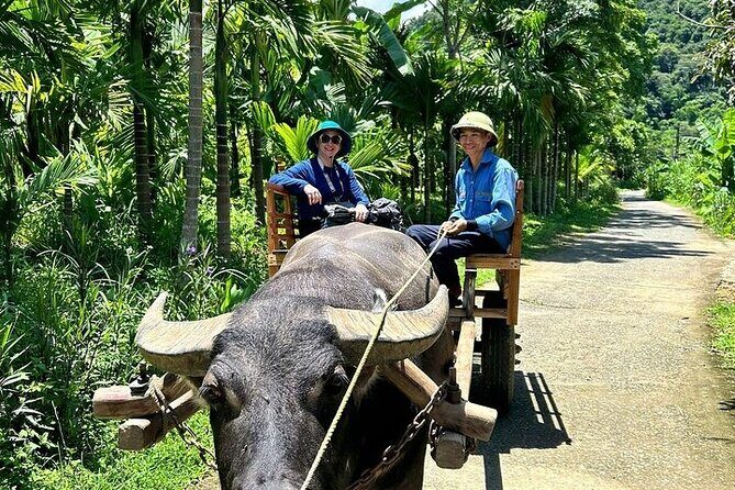 4 Days Hanoi to Pu Luong and Ninh Binh Culture Nature Adventure - What’s Included and What to Consider