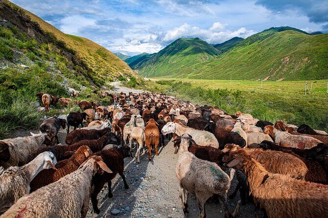 4 Days Issyk Kul & Chon Kemin: Horse Riding and Nomadic Yurt Stay - Final Thoughts: Is It Worth It?