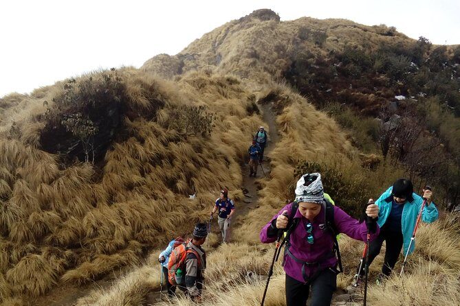 4 Days Mardi Himal Base Camp Trek from Pokhara - Exploring the 4-Day Mardi Himal Base Camp Trek from Pokhara