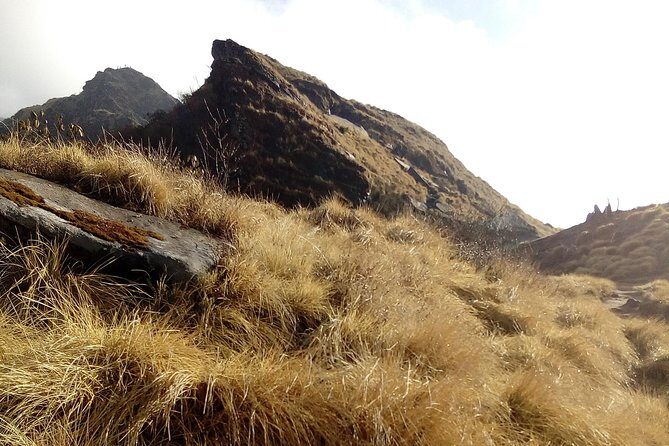 4 Days Mardi Himal Base Camp Trek from Pokhara - Day 3: Reaching Mardi Himal Base Camp