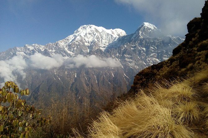 4 Days Mardi Himal Base Camp Trek from Pokhara - Day 4: Descent and Return to Pokhara