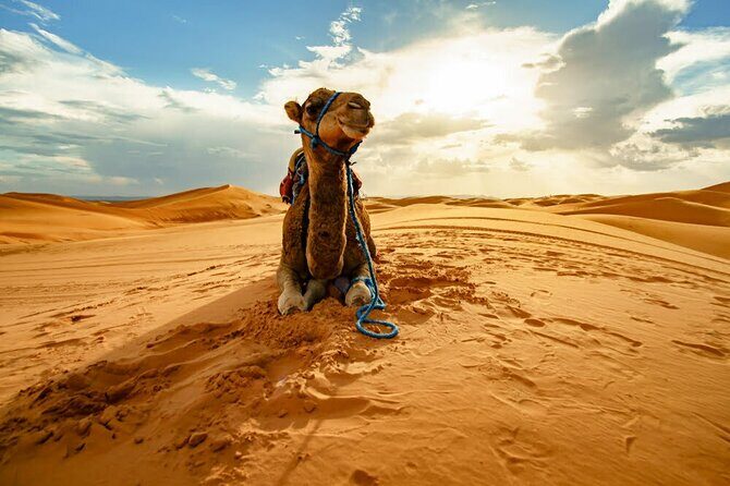 4-Days Marrakech to Marrakech Désert Tour - What Makes This Tour Stand Out?