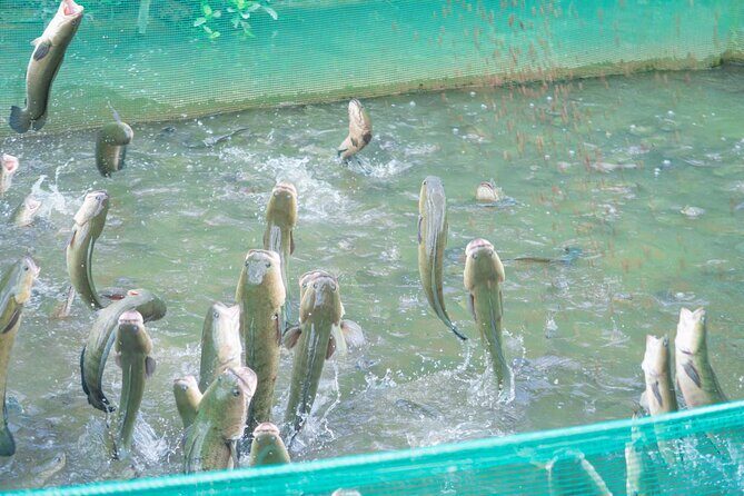 4 Days Mekong Cycling Expedition - Value and Overall Impression