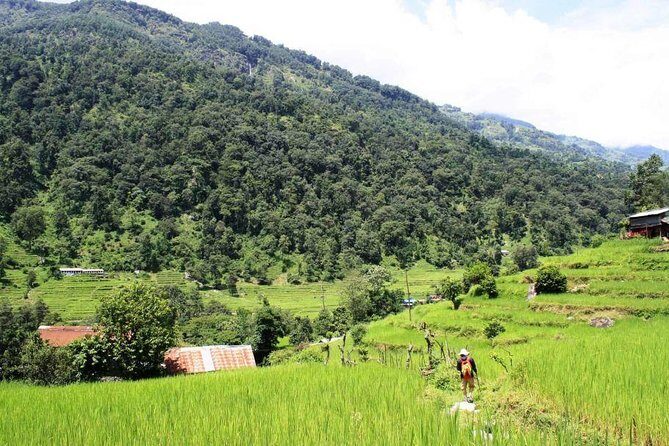 4 days Nepal Yoga and Trekking Retreat for Women - The Experience: What You Can Expect