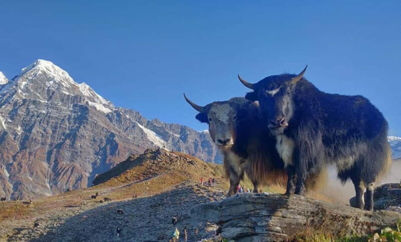 4 Days Pikey Peak Trek : The Best View of Mt Everest - FAQs