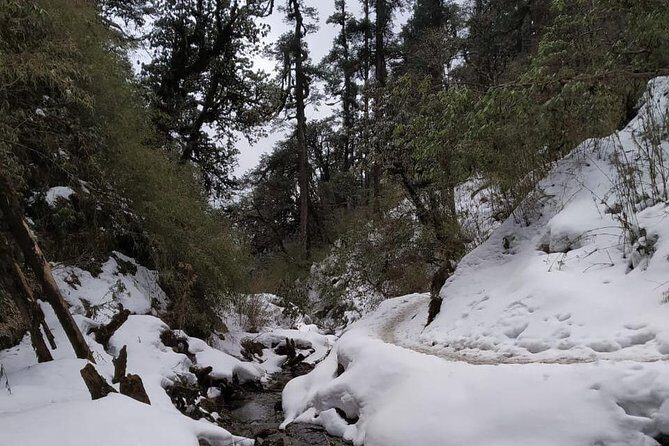 4 Days Poon Hill Trek from Pokhara - Analyzing Cost and Value