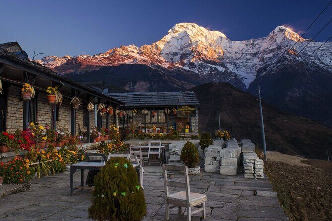 4 Days Poon Hill Trek from Pokhara - Introduction: Why the 4 Days Poon Hill Trek Could Be Your Nepal Highlight