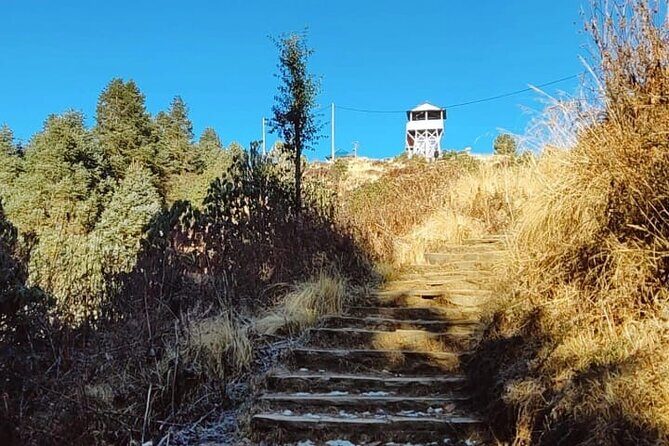 4 Days Poon Hill Trek from Pokhara - Price and Value