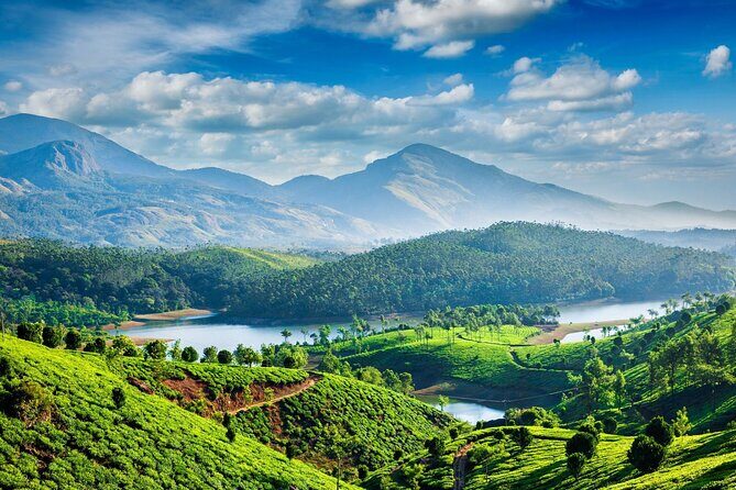 4 Days Private Kerala Tour -Kochi, Munnar, Thekkady with 3* Hotel - How Do We Value This Tour?