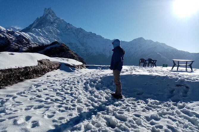 4 Days Private Mardi Himal Base Camp Trek - Why Choose the Mardi Himal Base Camp Trek?